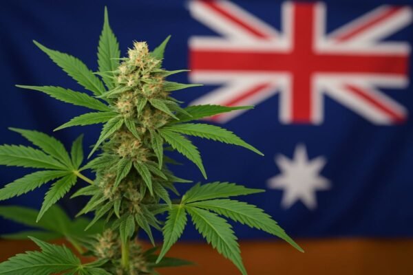 Legalise Cannabis Party Australia – Reform & Elections 2025